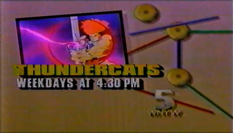 Thundercats Broadcast Syndication Wiki Fandom