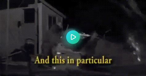 Fuck This Fucking Bird In Particular  On Imgur