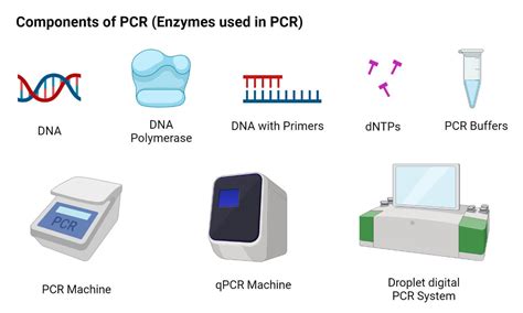 Pcr Machines Overview −