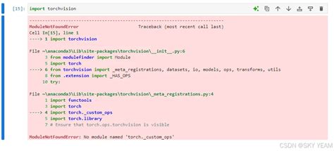 Pytorch Modulenotfounderror No Module Named Torch Custom Ops Modulenotfounderror No