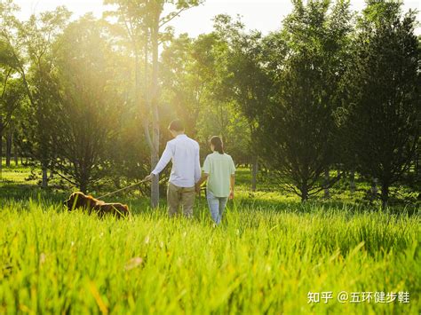 健步走：迈向健康生活的黄金步伐 知乎