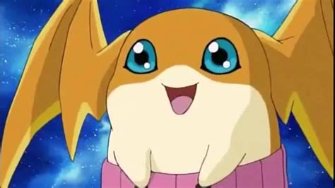 Patamon Digimon Frontier Wiki Fandom
