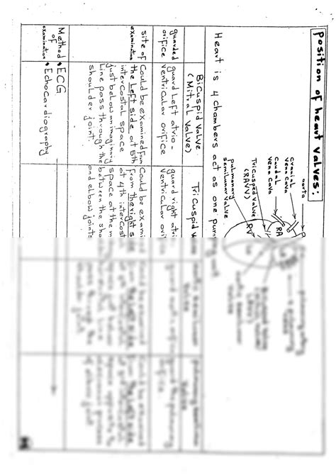 SOLUTION Examination Of Cardiovascular System Studypool