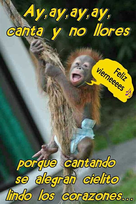 Viernes Chistoso Para Face Viernes Al Fin Calm Artwork Calm Pals