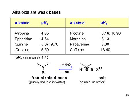 08 Heterocyclic Compounds Ppt