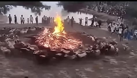 ကြၽန္ေတာ္ေရးေသာ မျက် ကန်း တ ပည့် တ ယောက် လာ မေး တယ် ။ အ ခု ဖြစ