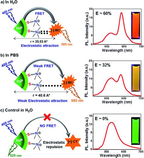 Electrostatically Driven Resonance Energy Transfer In [ ] Inp Zns Qds Download Scientific