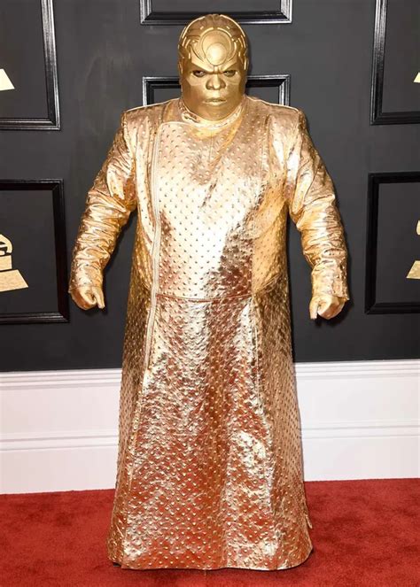 The Most Outrageous Outfits At The 2017 Grammy Awards Who