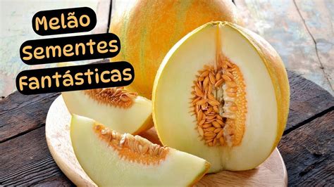 MelÃo E Suas Sementes FantÁsticas Com Benefícios Para Saúde Dr Prof