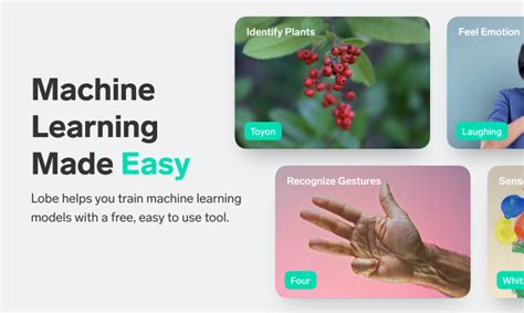 Lobe Tool Information And Alternatives Foundrai