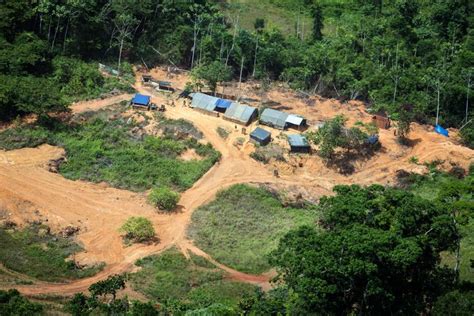 Guyane Un Gendarme Tué Dans Une Opération De Lutte Contre Lorpaillage