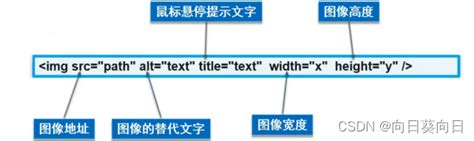 Html简单概述及常用标签解析html标签如何看 Csdn博客