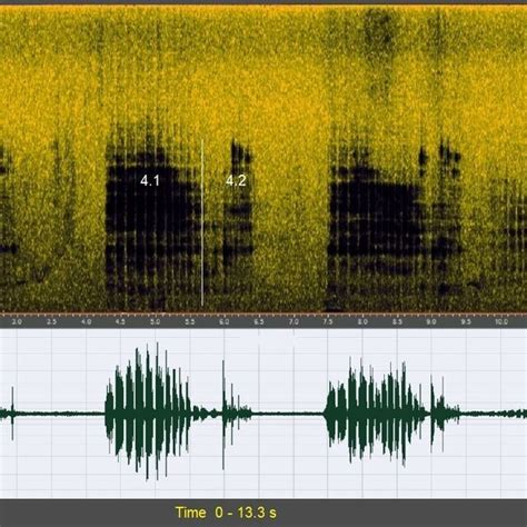 Spectrogram And Time Display Of Four Sand Martin Chirps Time Scale 0