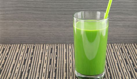 Manfaat Jus Daun Kelor Untuk Penderita Asam Lambung Tinggi
