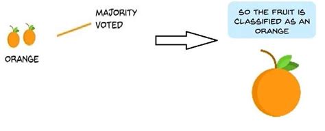 Random Forest Classification And Its Mathematical Implementation By Rahul Rastogi Analytics
