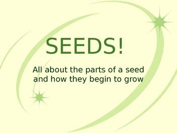 Seed Powerpoint By Justine TPT