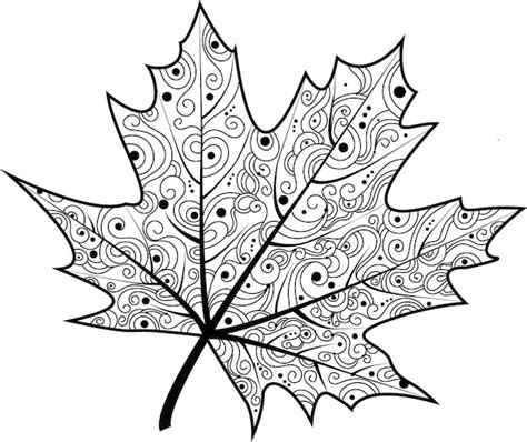 Premium Vector Black And White Illustration Of A Maple Leaf Autumn Illustration An Idea For A