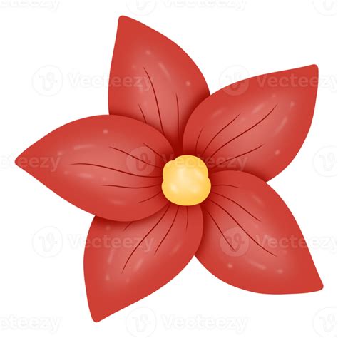 Poinsettia Christmas Star PNG
