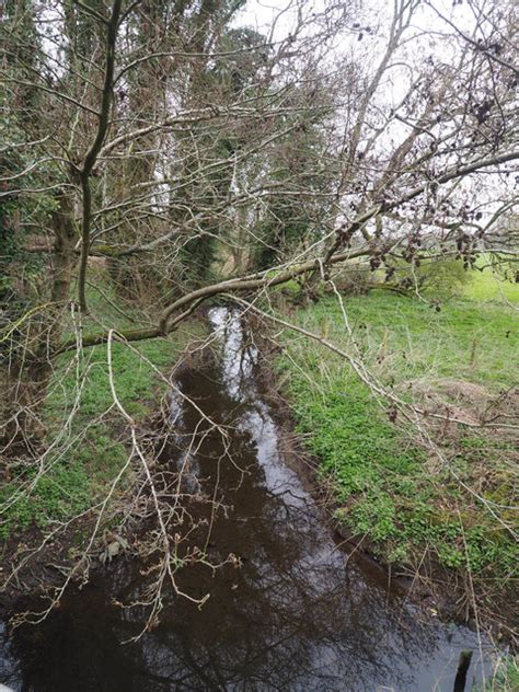 Small Stream Beside River © David Pashley Geograph Britain And Ireland