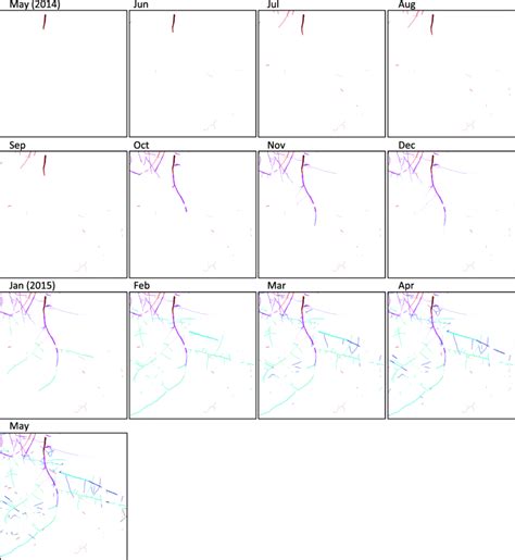 Monthly Series Of Root Growth The Images Show A Magnified Portion Of Download Scientific