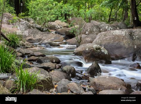 Cascade In The Rainforest Jourama Falls Paluma Range National Park