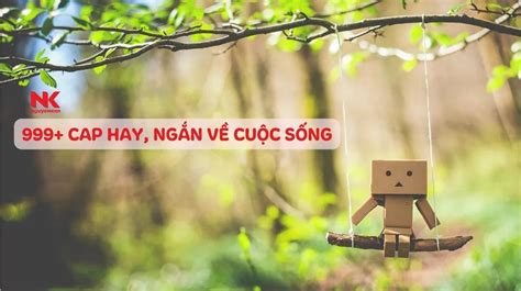 Cap Hay Ngh A Stt T M Tr Ng D Ng Ng Nh Story Tri U View