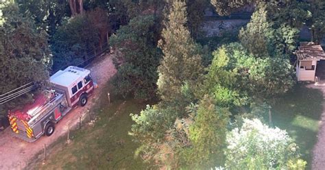 Reportan Incendio Forestal En Cerros Orientales De Bogotá