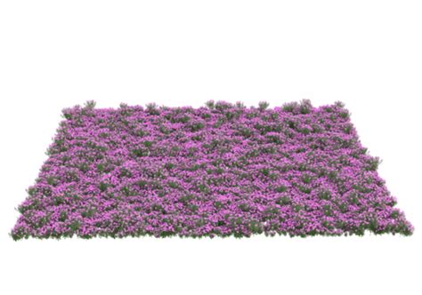 Ground Cover Pngs For Free Download
