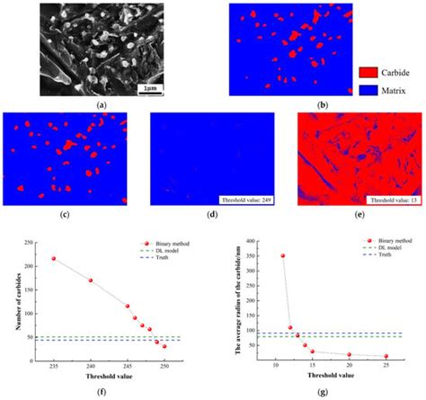 training tricks for steel microstructure segmentation with deep learning