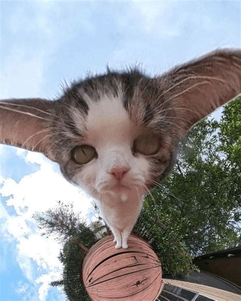 The Best Angle Rhmmm Know Your Meme