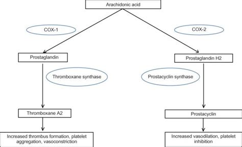 Effects Of Cox Inhibition On Vasculature Download Scientific Diagram