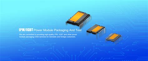 Chiphow Microelectronics Huizhou Co Ltd Power Module Package Ipm Oem