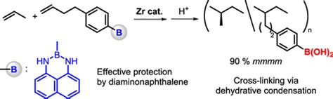 Incorporation Of Boronic Acid Functionality Into Isotactic Polypropylene And Its Application As
