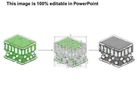 0714 Leaf Anatomy Medical Images For PowerPoint PowerPoint Slide Presentation Sample Slide