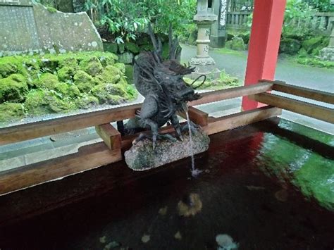 霧の日に箱根神社と九頭龍神社新宮 魂やどりし者たち soleyunaブログ