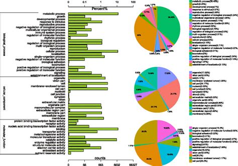 Histogram Presentation Of Gene Ontology Classifications The Results