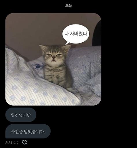 서진랜드 On Twitter 당신들 재미들렸지 ㅠ