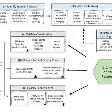 Schematic Showing Conceptual Model Of Conifer Classification Framework Download Scientific