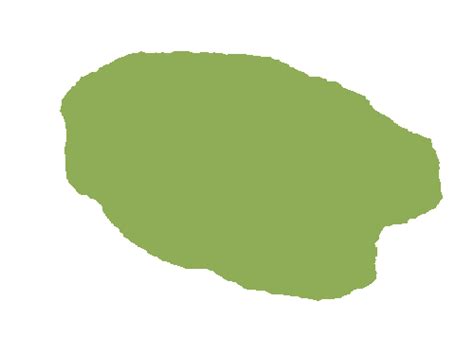 Skin Cancer Ham10000 Dataset Ninja