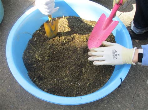 分園秋の部第一回ヤギのクリーンパトロールと花壇づくり開催しました！ 東板橋公園｜板橋こども動物園と徳丸ヶ原公園｜こども動物園高島平分園
