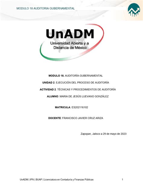 M18u2a2tÉcnicas Y Procedimientos De AuditorÍa Pdf Auditoría