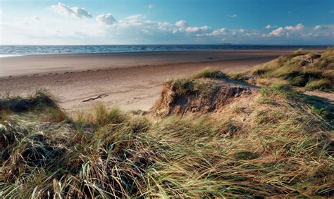 Epping Forest Ecosystem Hodder Education Magazines