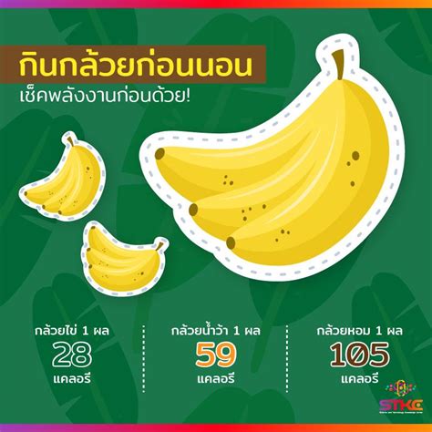 กินกล้วยก่อนนอน เช็คพลังงานก่อนด้วย Science And Technology Knowledge Centre Stkc