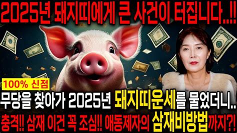 🌟미리보는 2025년 돼지띠 운세🌟 돼지띠분들 2025년 을사년 들어오는 삼재 진짜 이건 꼭 조심해야됩니다 59년생 71