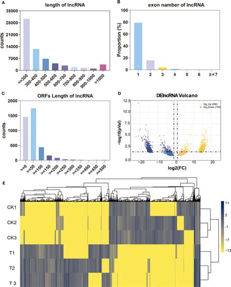 Integrated Agronomic Physiological Microstructure And Whole