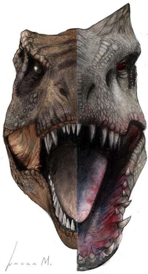 Jurassic World T Rex Vs Indominus Rex Drawing At Madison Hayes Blog