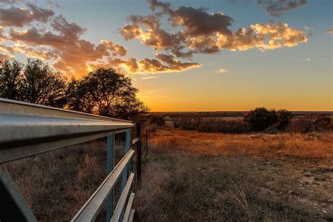 Texas Crop And Weather Report Proag