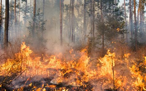 Calentamiento Global Puede Alargar Un Mes La Temporada De Grandes Incendios