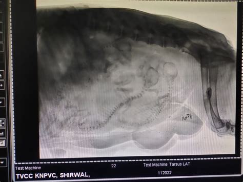 Shashvat Padghan On Linkedin Experience Learning Opportunity Help