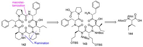 Natural Cyclic Peptides Synthetic Strategies And Biomedical Applications